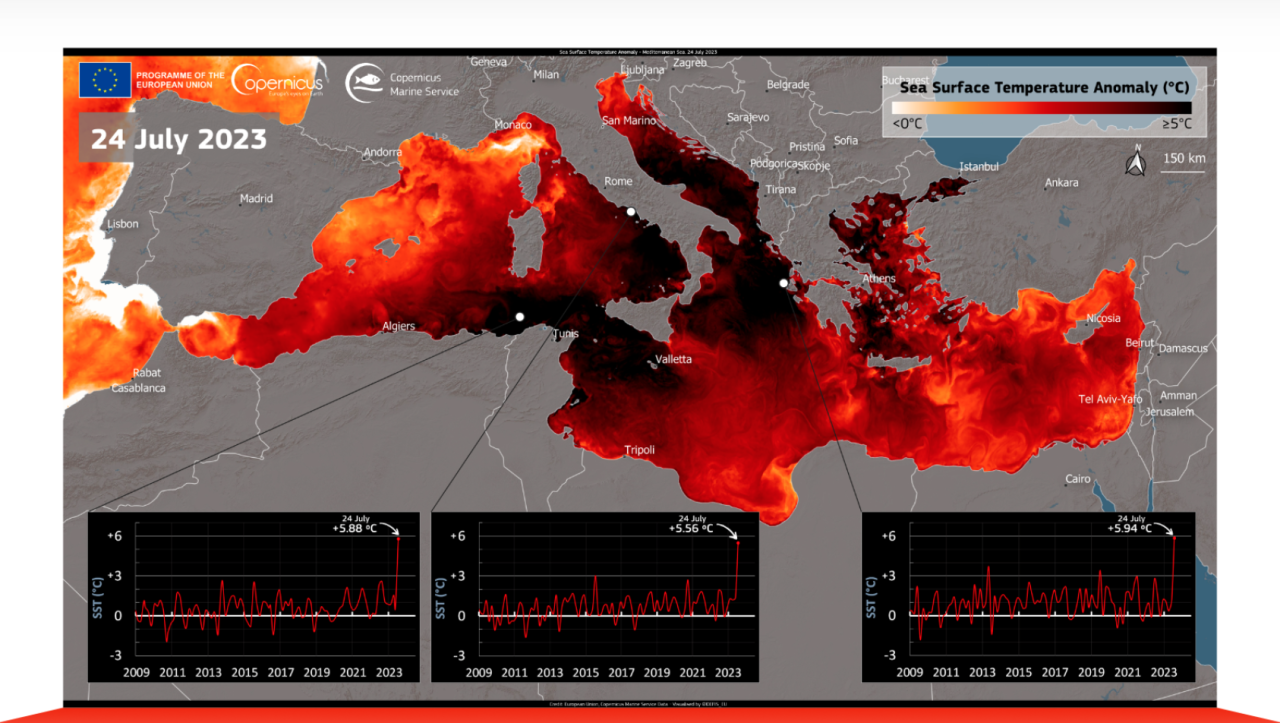 I giorni di ondate di calore marine estreme sono triplicati rispetto a ...